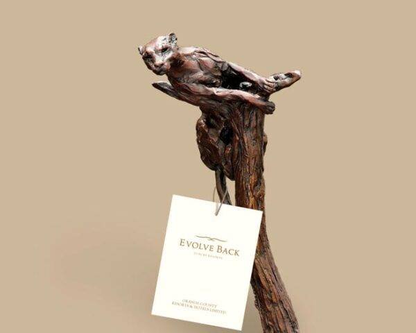 EVOLVE BACK RESORTS- Rebranding Case Study